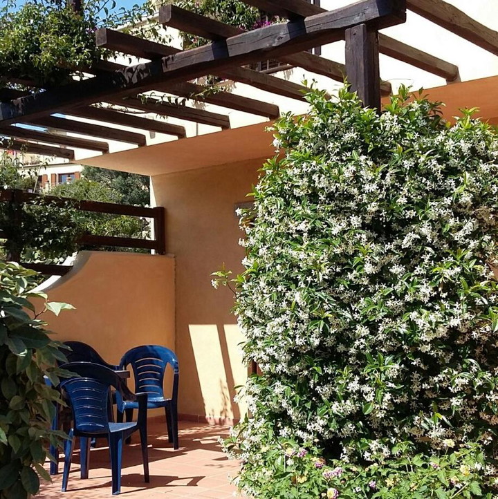 La Casa Del Gelsomino - La Maddalena