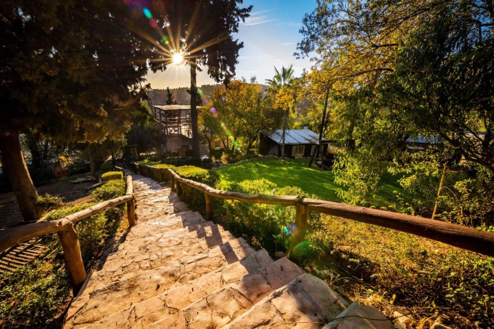 Peace Forest Jerusalem - Cabins & Caravans By City Of David - Jérusalem
