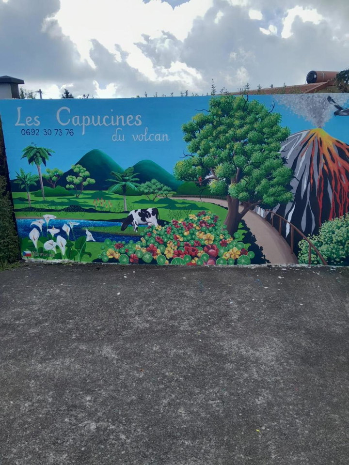 Petite Chambre Vue Piton Des Neiges Les Capucines Du Volcan - La Réunion