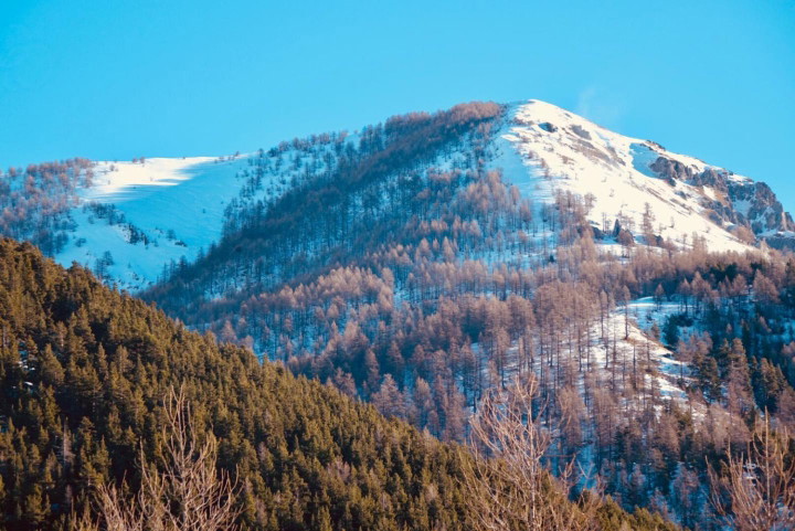 Hotel Chamois D'or - Limone Piemonte