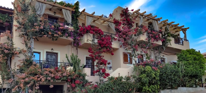 Niki Apartments - Crete