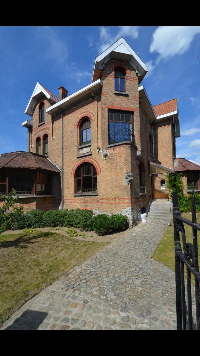 Clementine - Oudenaarde