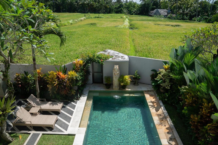 Ananditha Villa Ubud Ricefield Views - Bali