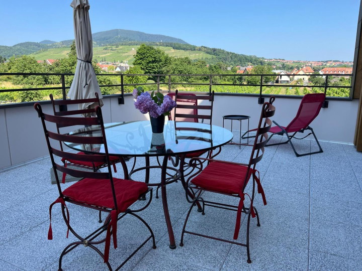 La Terrasse Du Vignoble - Garage Et Parking Privatifs - Obernai