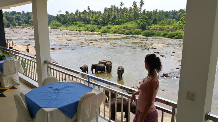 Hotel Pinnalanda - New Deal! Exclusive Offers On Pickups Available! - Sri Lanka