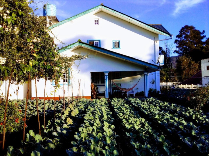 Vibe Way (Hostel & Market Farm) - Nuwara Eliya