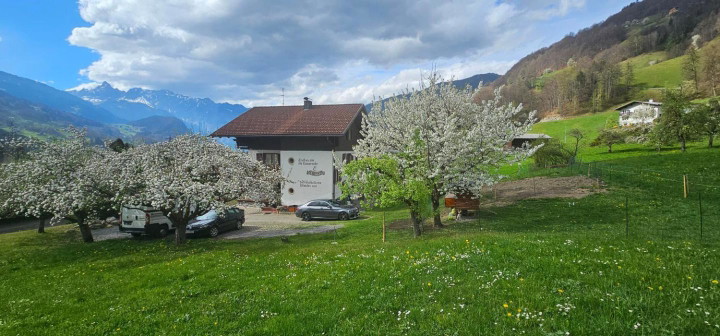 Ferienwohnung Lara - Schruns