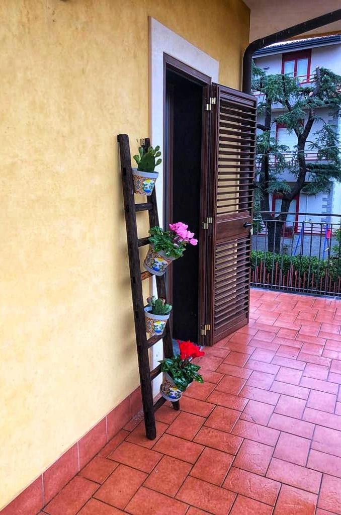 Opuntia Dell'etna Bike House - Catania
