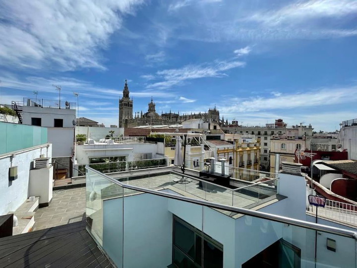 Fdez Amazing House By Cathedral And Giralda With Private Pool - Seville