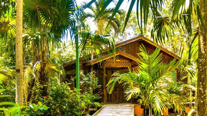 Lighthouse Inn 2 - Jamaica