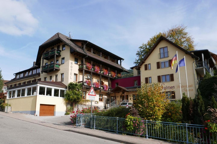 Landhotel Salmen - Durbach