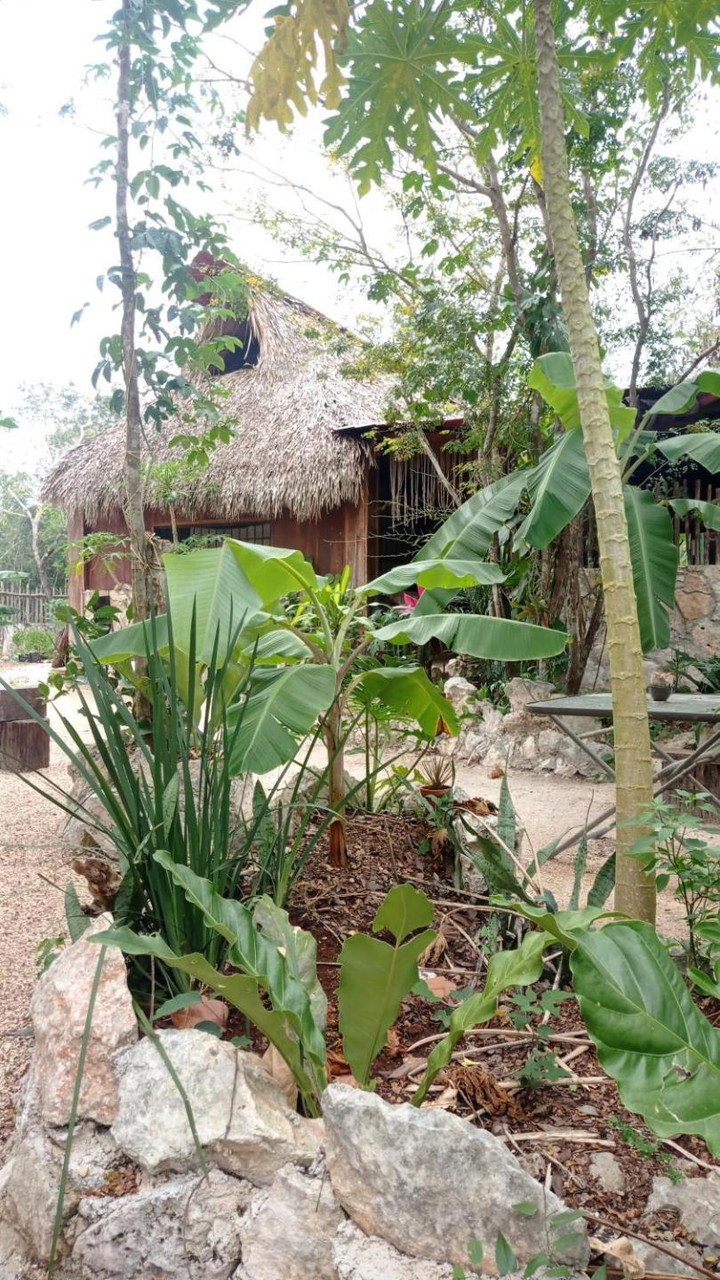 Camping Rancho El Tauro - Riviera Maya