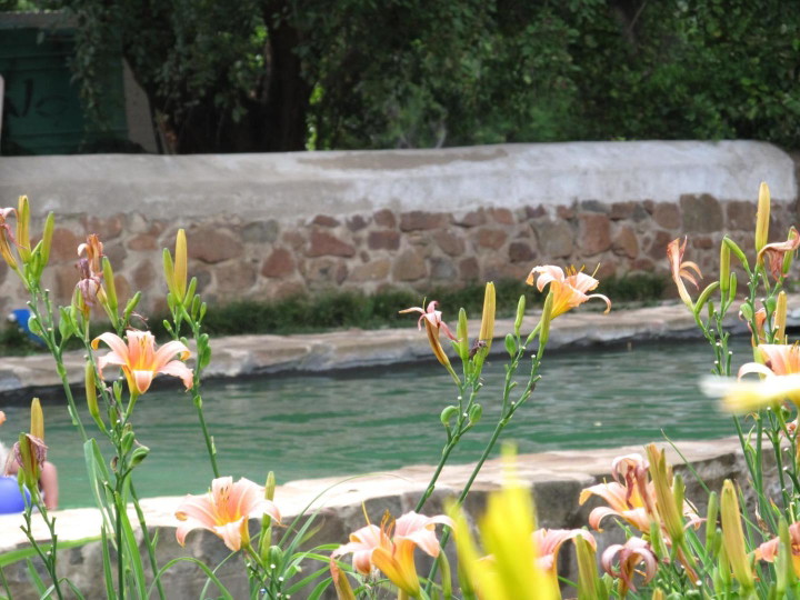 Hillside Farm - Springfontein