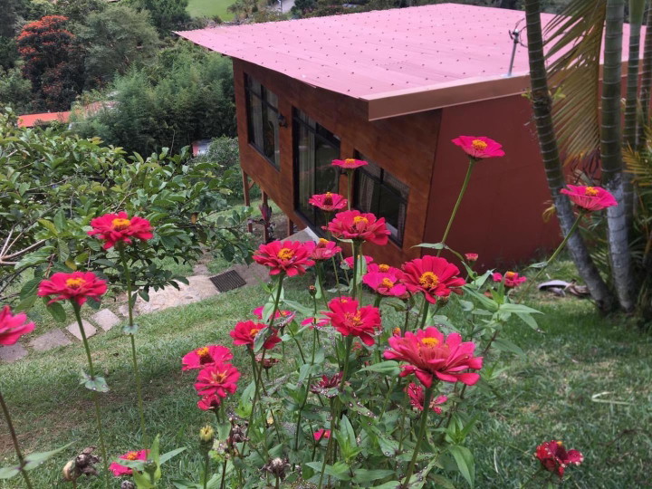 Navarro Mountain - Costa Rica