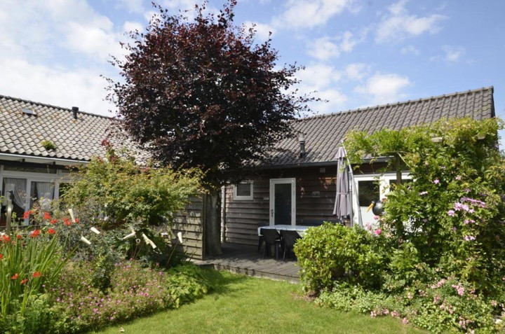 Merel - Pays-Bas