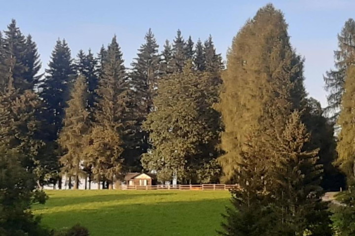 Almhütte - Wolfsberg