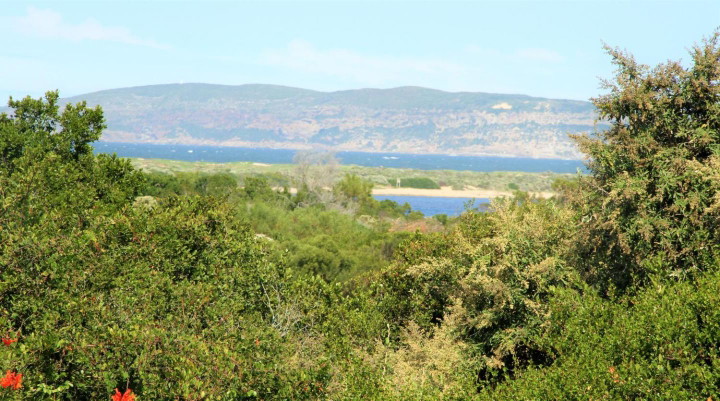 T1 Goose Valley With Sea View - Plettenberg Bay