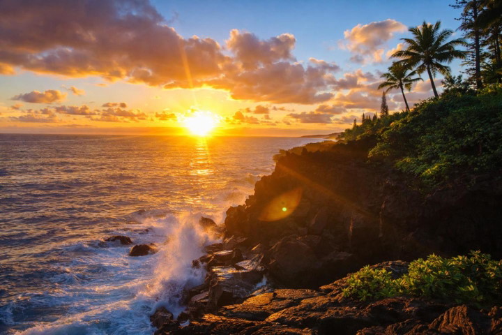 Wild Blue Water - Hawaii