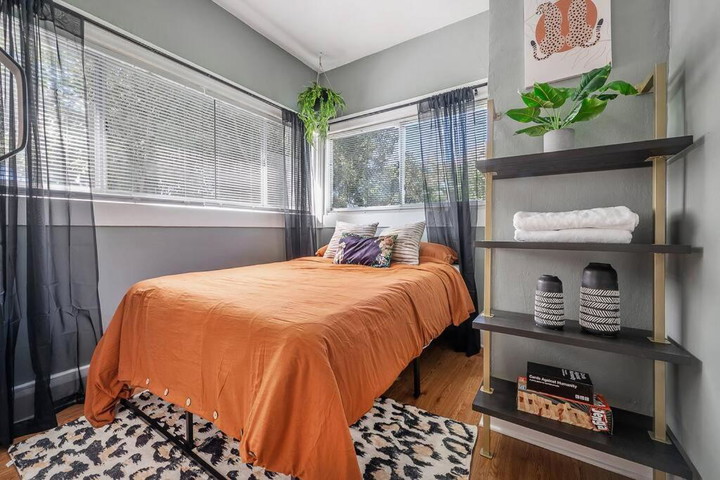 Jungle Themed Apt. Close To Coffee, Food + Shops! - Florida