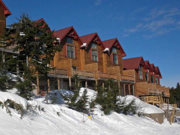 Loggers Run #7: 5 Bedrooms, 35 Bath: Slope Side Overlooks The Ski Trail ! - Snowshoe, WV