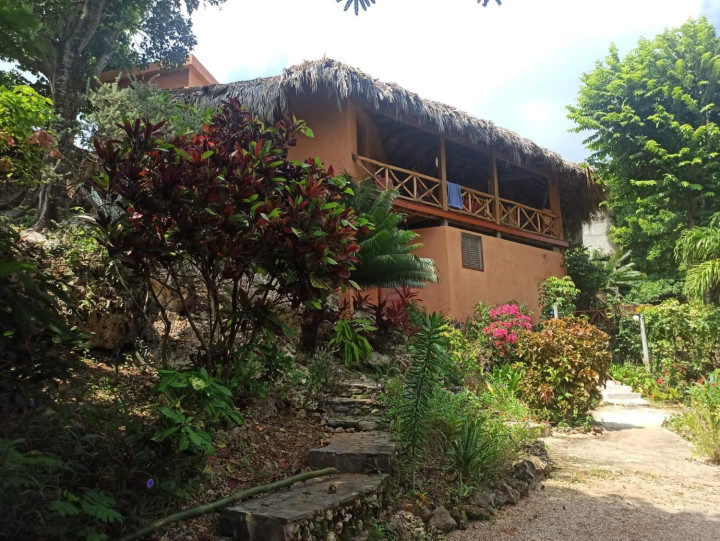 La Casa Del Arbol - Dominican Republic
