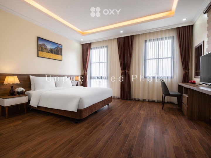 Ha Long Essence Classic Hotel - 下龍市
