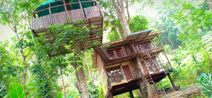 Jungle Tree House Munnar - 