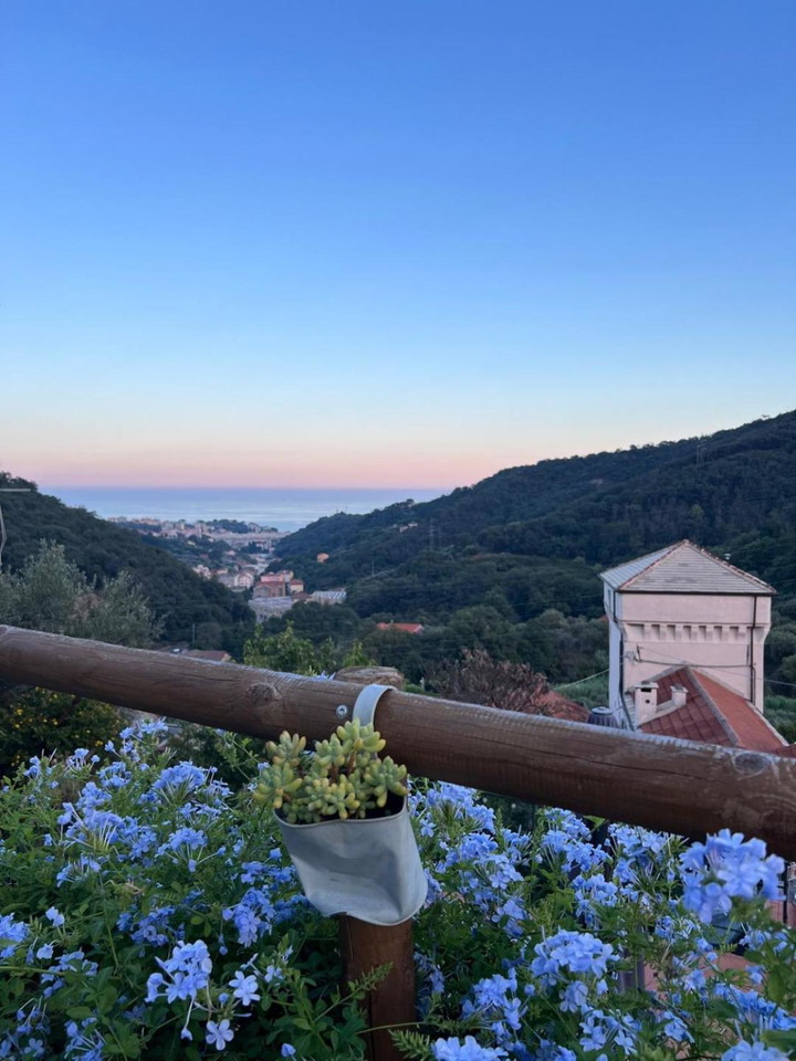 Il Rosale A Celle Ligure - Albisola Superiore