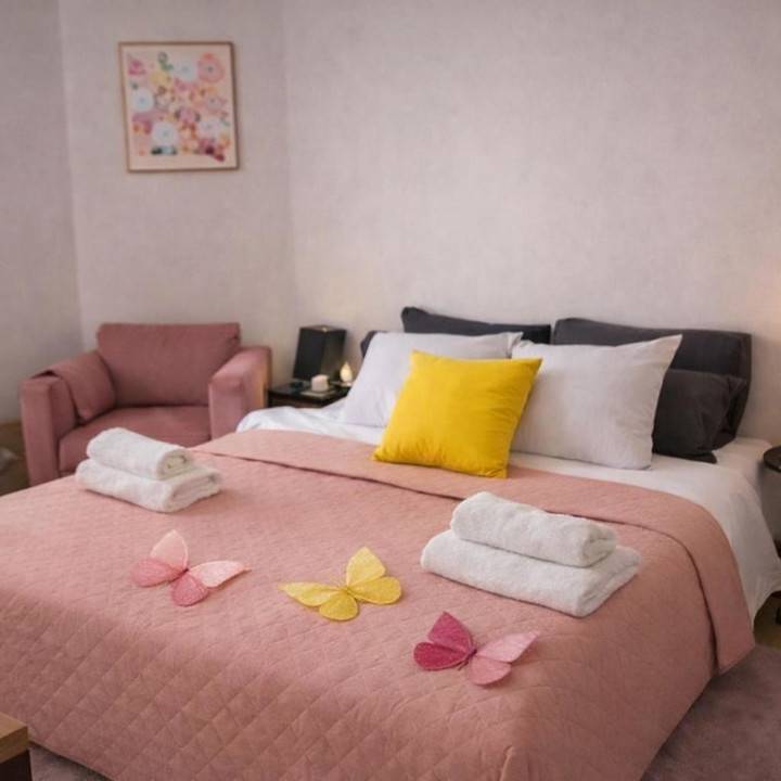 Chambre Cosy Butterfly Chez L'habitant Avec Jardin - Clichy