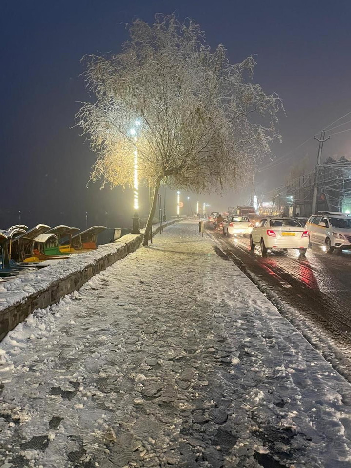 Dallake Group Of Houseboats - Srinagar