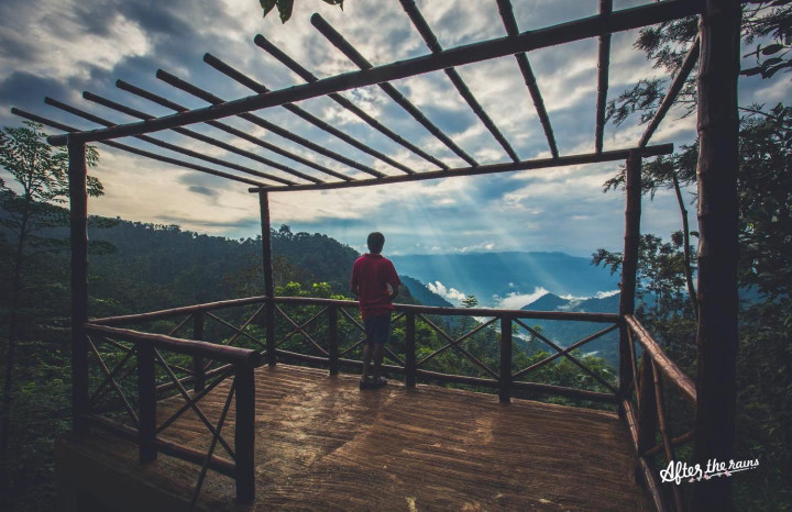 After The Rains - Rainforest Lodge, Wayanad - Kerala