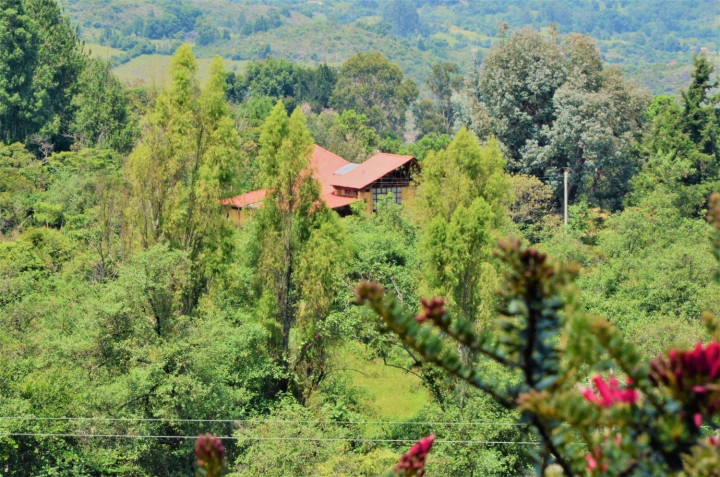 Chalet Casa De Teja - Colombia