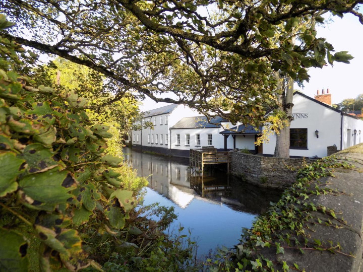 Flynns Of Termonfeckin - County Meath