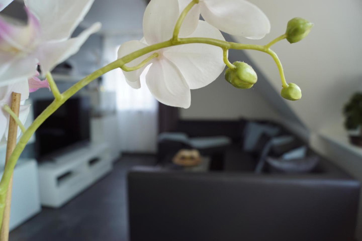 La Domus Premium Osnabrück Lotte - Osnabrück