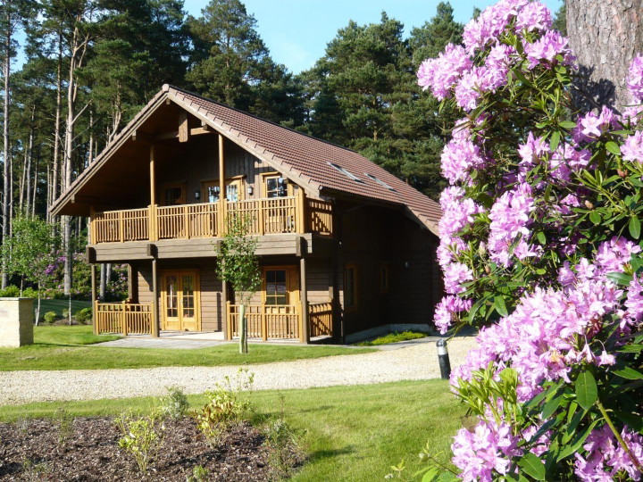 Dorset Resort Hotel - Dorset