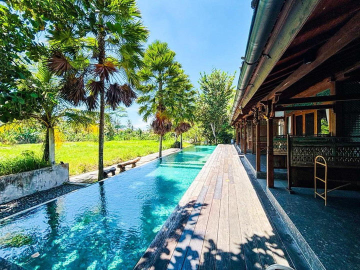 Living Ubud - Gianyar