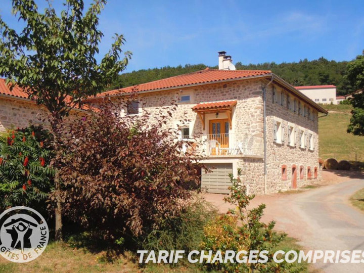 Grand Gîte 6 Chambres Avec Cheminée, Animaux Acceptés, Campagne Lyon-roanne - Fr-1-496-65 - Rhône-Alpes