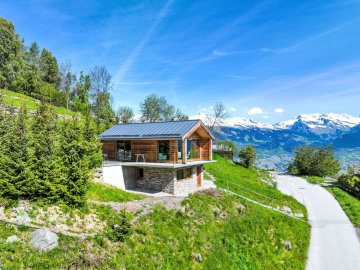 Chalet Papillon By Interhome - Nendaz