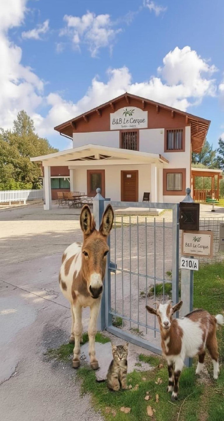 Le Cerque - Ombrie