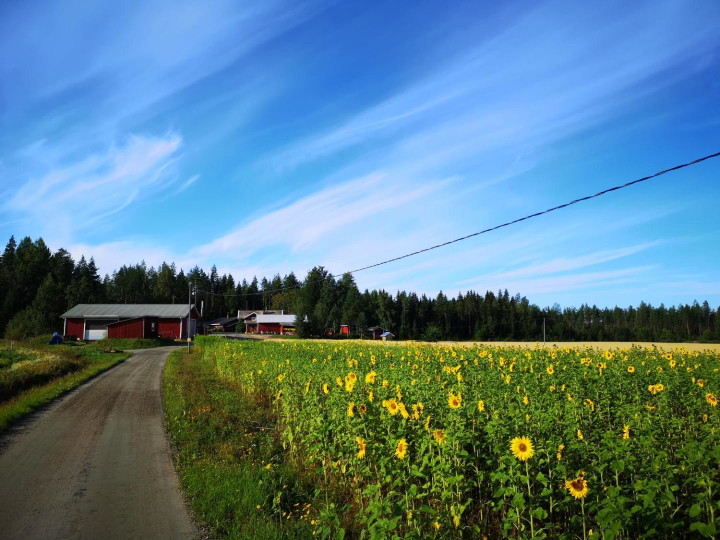 Maatilamatkailu Ilomäki - Finland