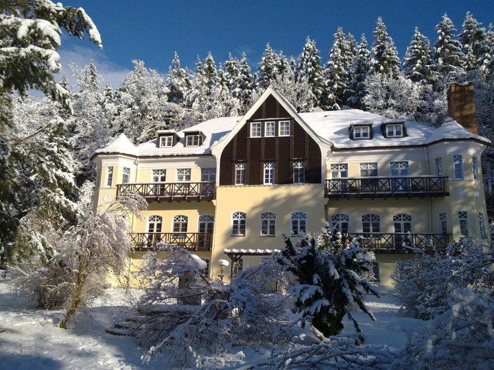 Villa Wilisch - Wolkenstein