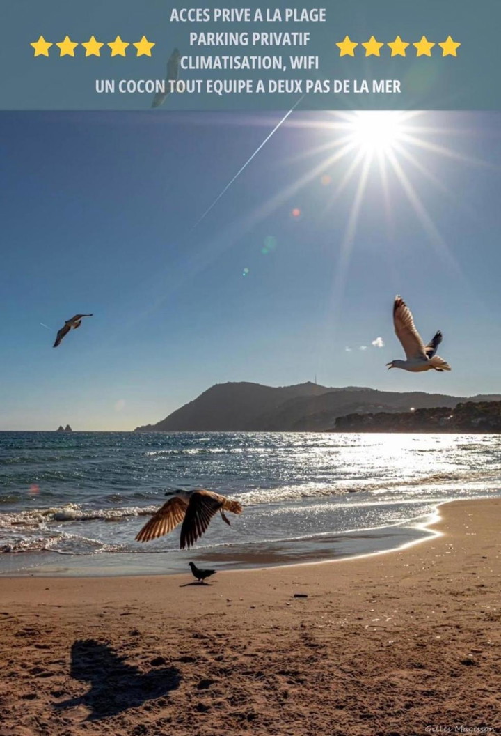 T2 Moderne Vue Mer Les Sablettes Clim- Wifi- Parking - La Seyne-sur-Mer