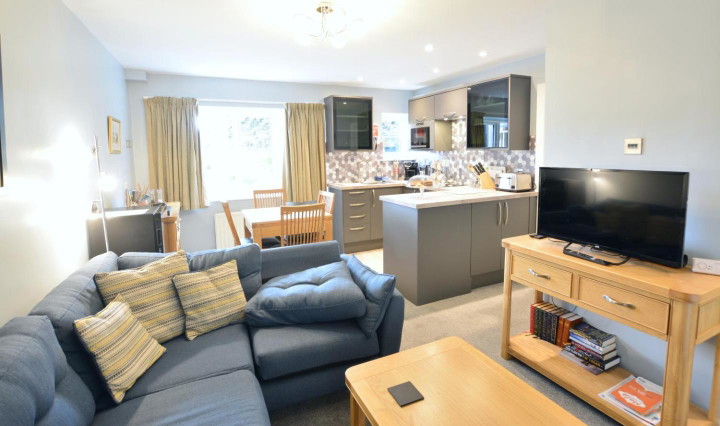 Chestnut Apartment - Windermere