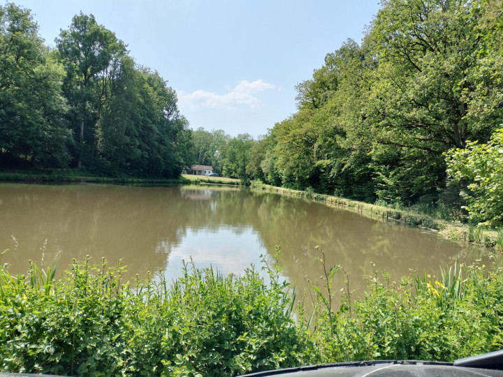 Deux éTangs Poissonneux Au Milieu Des Bois Avec Gîte Moderne, La Halte Des Deux Lacs - Belgium