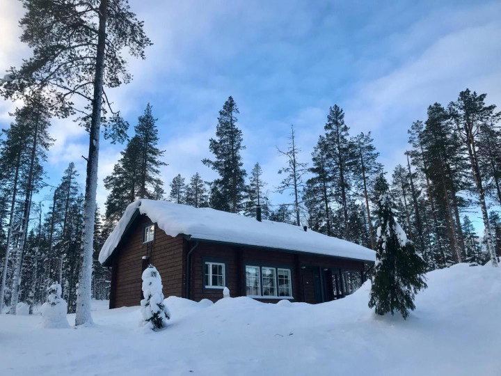 Ylläksen Taiga - Laponie