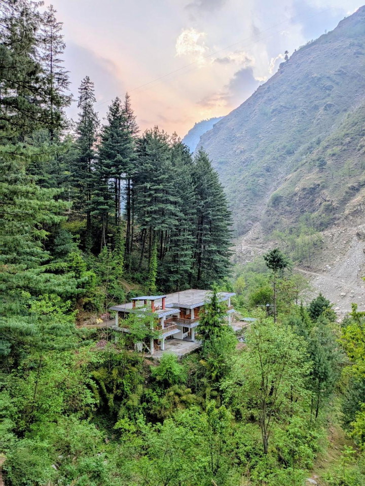 The Woods - Tirthan Valley - Himachal Pradesh