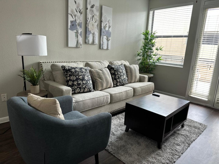Two Bedroom Apt City Center - 休斯敦