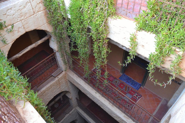 Rose Noire - Ouarzazate