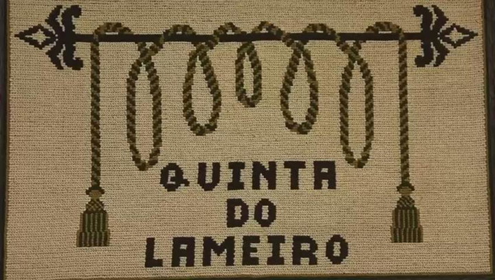 Quinta Do Lameiro Maceira - Oliveira do Hospital