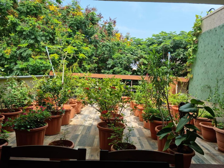 Terrace Garden - Hyderabad